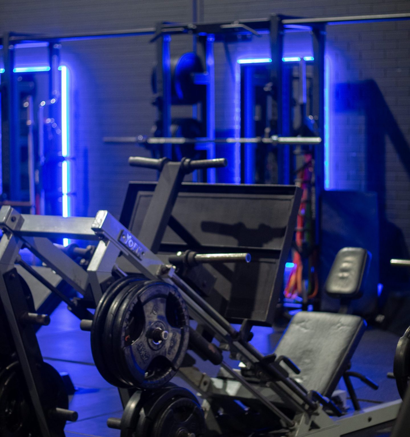 Flexion Fitness